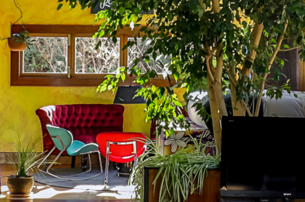 Little Donkey Bay – Boutique hotel in the Bay of Islands